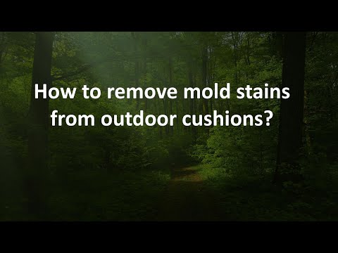 How to remove mold stains from outdoor cushions?