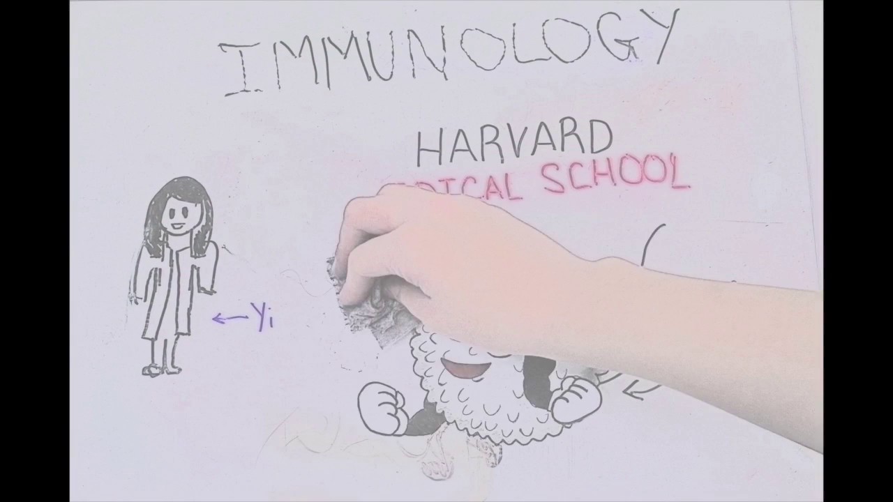 Immunopower! - Science Ambassador Scholarship