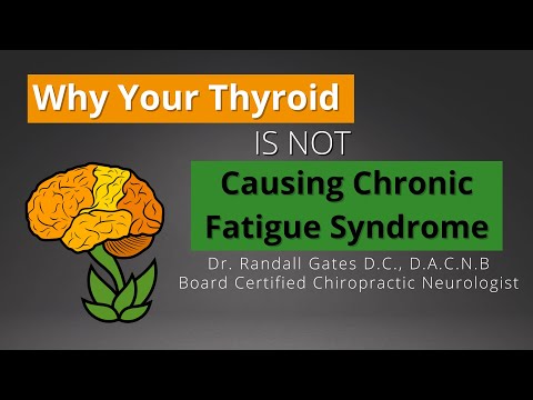 Why Your Thyroid Isn't Causing Chronic Fatigue Syndrome