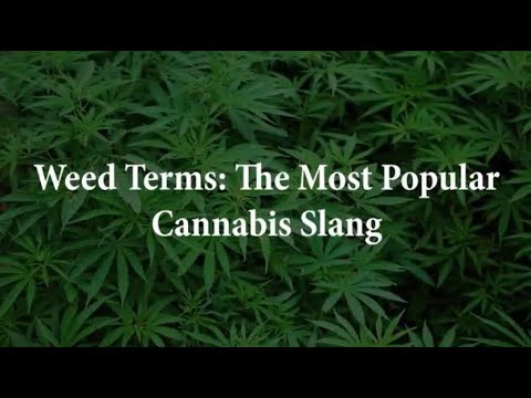 Weed Terms: The Most Popular Cannabis Slang