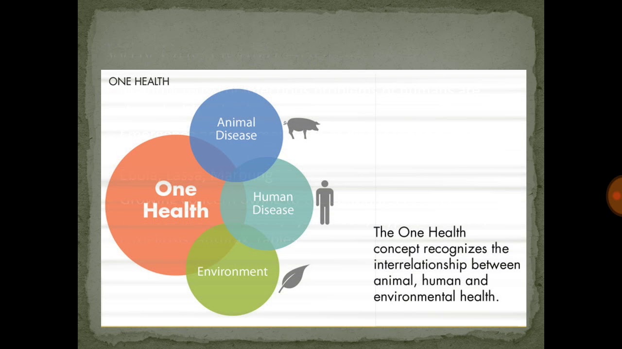 One Health Concept (pdf file)