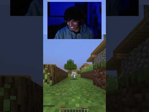 Mob Hunt ???? #minecraft