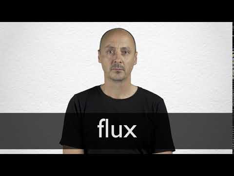 FLUX definition in American English | Collins English Dictionary