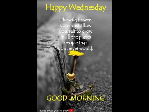 WEDNESDAY QUOTES /GOOD MORNING IMAGES /WHATSAPP STATUS/WHATSAPP DP PHOTOS/BEAUTIFUL IMAGES