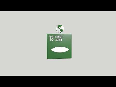 SDG 13: CLIMATE ACTION