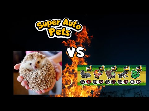 Steam Community :: Video :: Pet the Hedgehog OUCH!