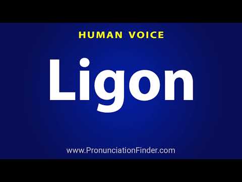 How To Pronounce Ligon