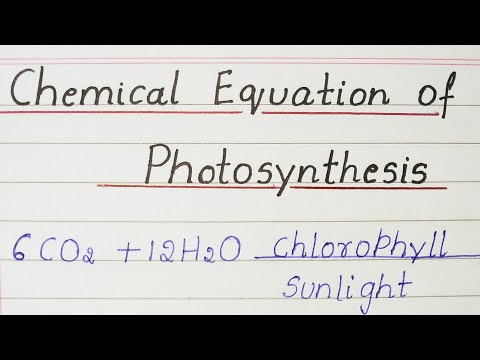 Chemical Equation of Photosynthesis
