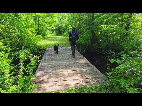 What's Chasing Raven? Hiking the Zillmer Loop Trails | Kettle Moraine State Forest