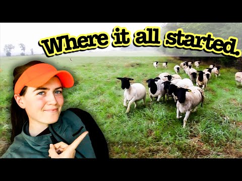BECOMING A FARMER IN 180 DAYS