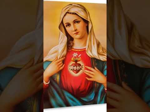 SALVE REGINA #music #catholichymn #explorepope #salveregina #latinhymn