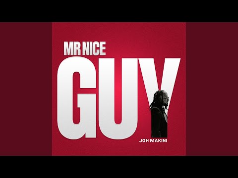 Mr Nice Guy