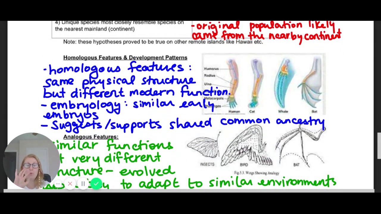 Lesson 3 Evidence Supporting the Theory of Evolution pdf   Google Drive
