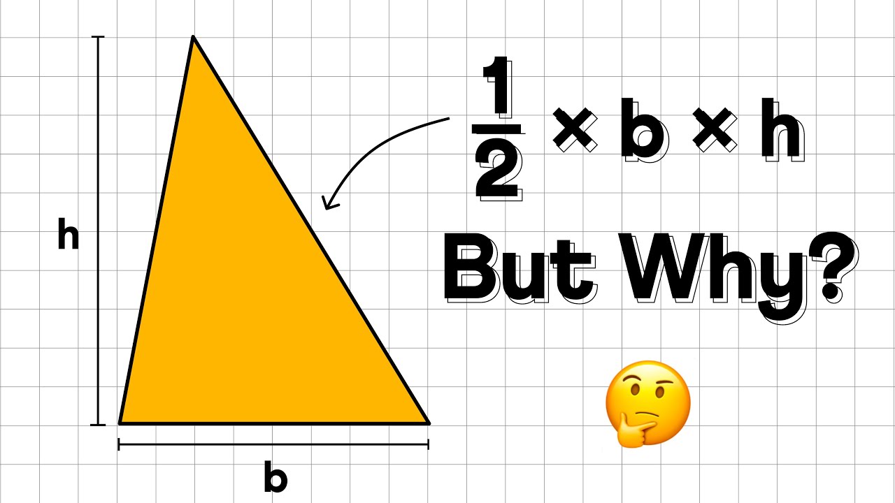 Area of Rectangles and Triangles