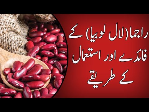 Red kidney bean(rajma) health benefits in urdu