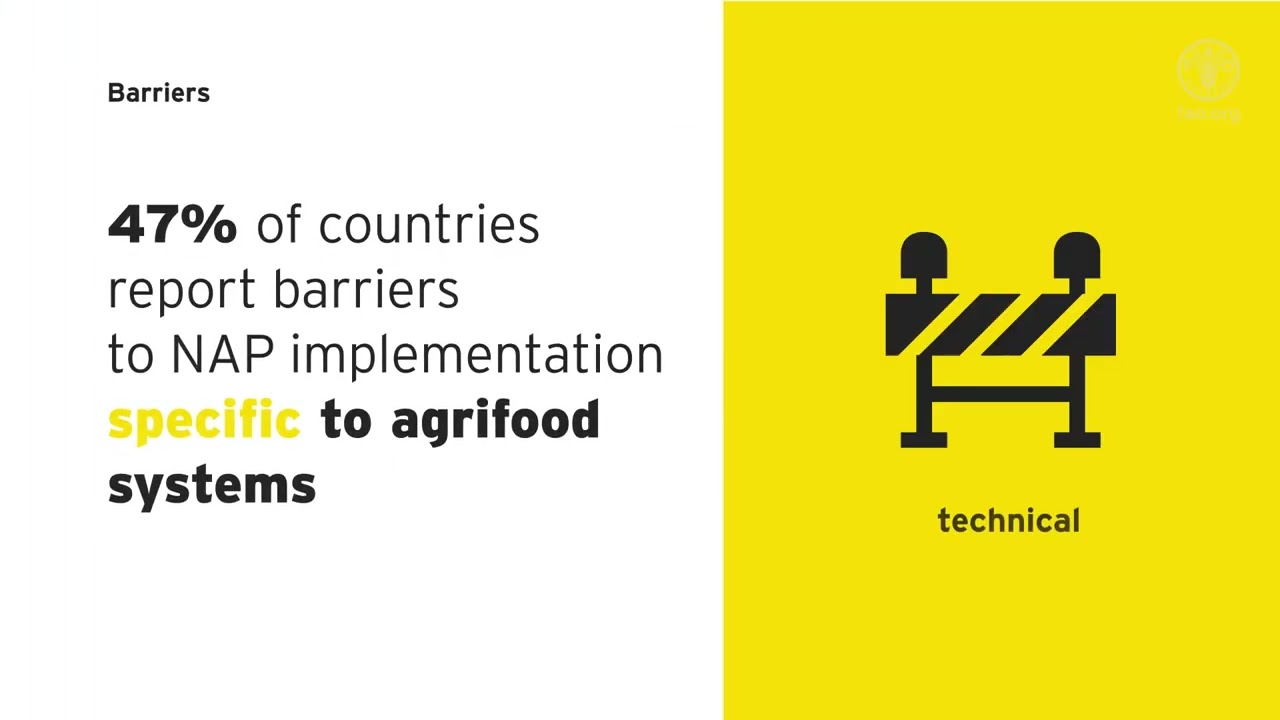National Adaptation Plans (NAPs)