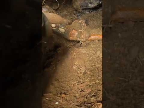 I found amazing Bandit Treasure #treasurehunt #metaldetecting #treasurefind #treasure #define
