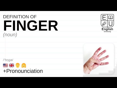 FINGER meaning, definition & pronunciation | What is FINGER? | How to say FINGER