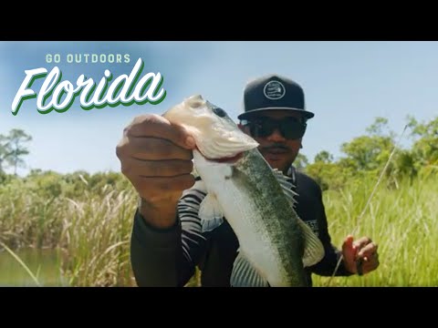 THE BIG FISH ARE IN FLORIDA - GoOutdoorsFlorida.com
