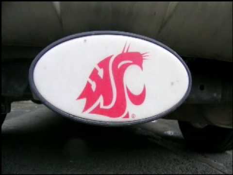 The Cougar Logo