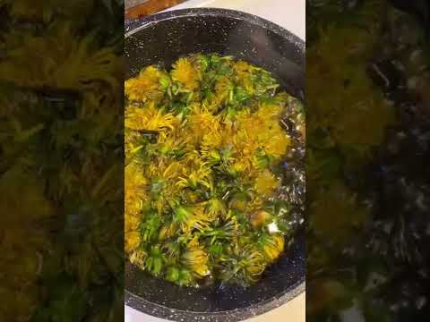 Dandelion Flowers Tea | Would You Drink This?