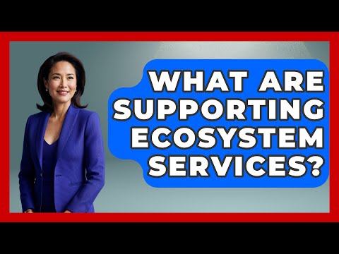 What Are Supporting Ecosystem Services? - Ecosystem Essentials