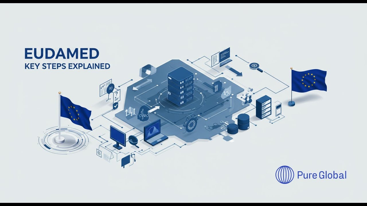 How To Navigate EUDAMED?