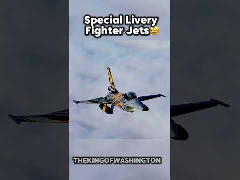 Average Fighter Jets vs Special Livery Fighter Jets🤩