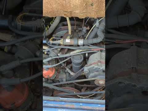 What do you do before attempting to start a Vanagon that has been sitting? #vanagon #vanagonlife