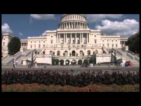 STANDARDIZED The Official Trailer