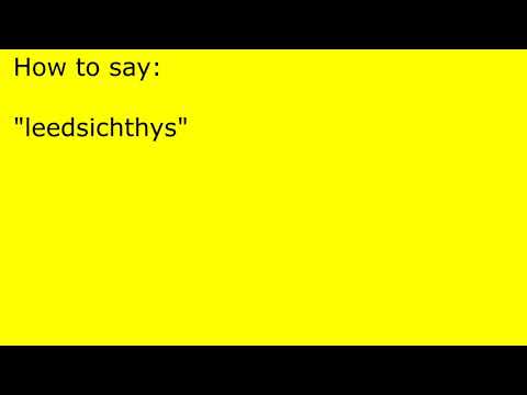 How to pronounce leedsichthys