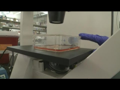 Metro Atlanta company joins race to develop coronavirus vaccine
