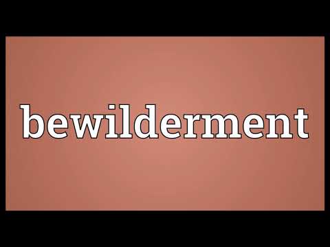 Bewilderment Meaning