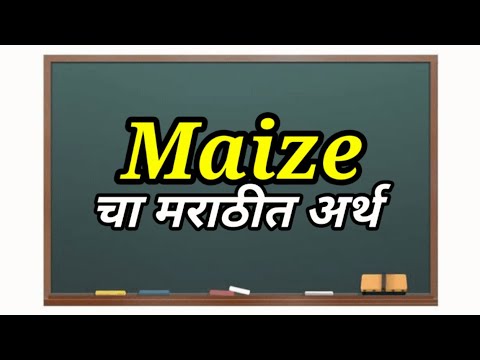 Maize Meaning In Marathi || Maize म्हणजे काय || Daily Use English Words