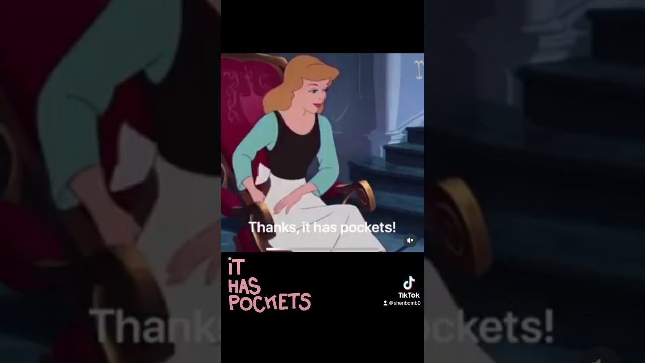 Perfect audio for a gif I made #ithaspockets #dresseswithpockets #cinderella #disneyprincess