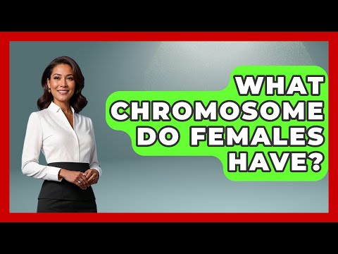What Chromosome Do Females Have? - Biology For Everyone