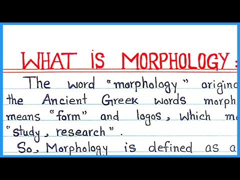 What is Morphology \ Define morphology