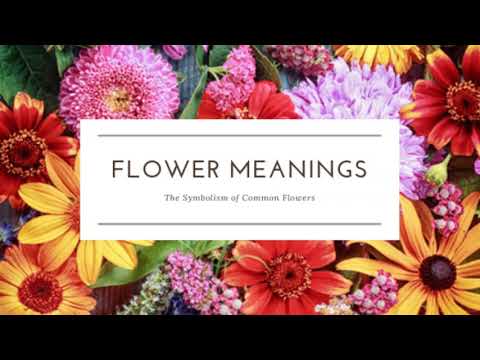 FLOWER SYMBOLISM AND MEANINGS