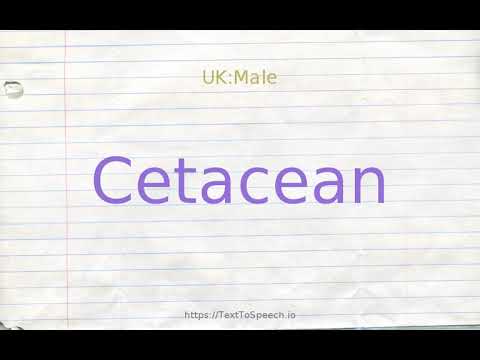 How to pronounce cetacean