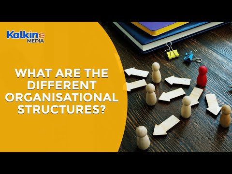 What Are the different Organisational structures?