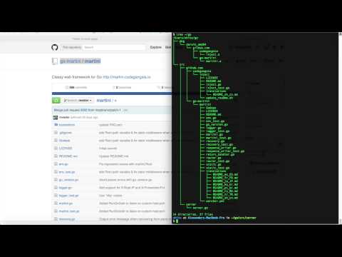 golang 2 - remote packages