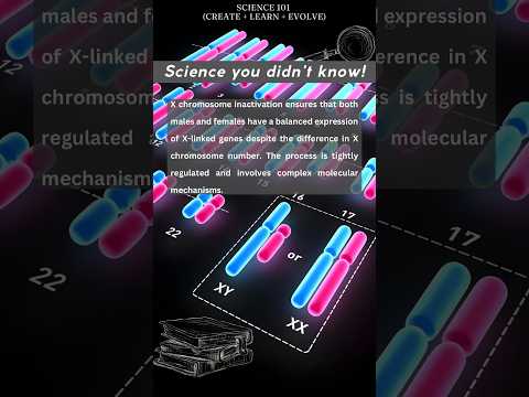 X chromosome Inactivation simplified
