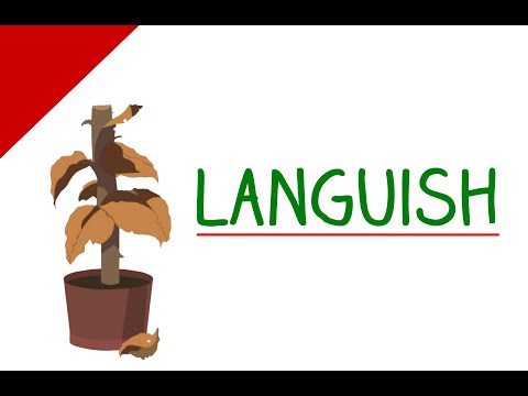 Learn English Words - Languish (Vocabulary Video)