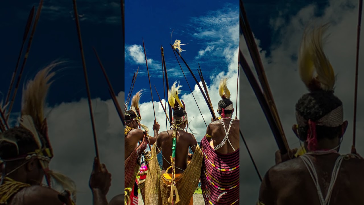 Deforestation | Deforestation Causes and Effects | #deforestation #climatechange  #globalwarming