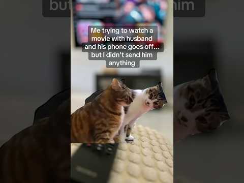 Who’s dat ? 🤔 #wife #funny #memes #pets #relationship #couple #comedy #couplescomedy #love #life