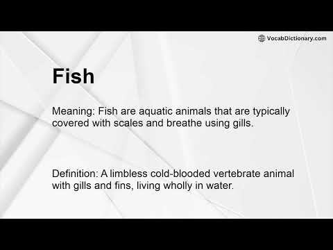 Fish Meaning