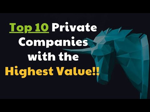 Top 10 Unicorn Companies at Start of 2023