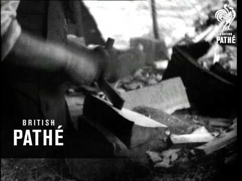 Cinetopicalities In Brief No. 109 (1940)