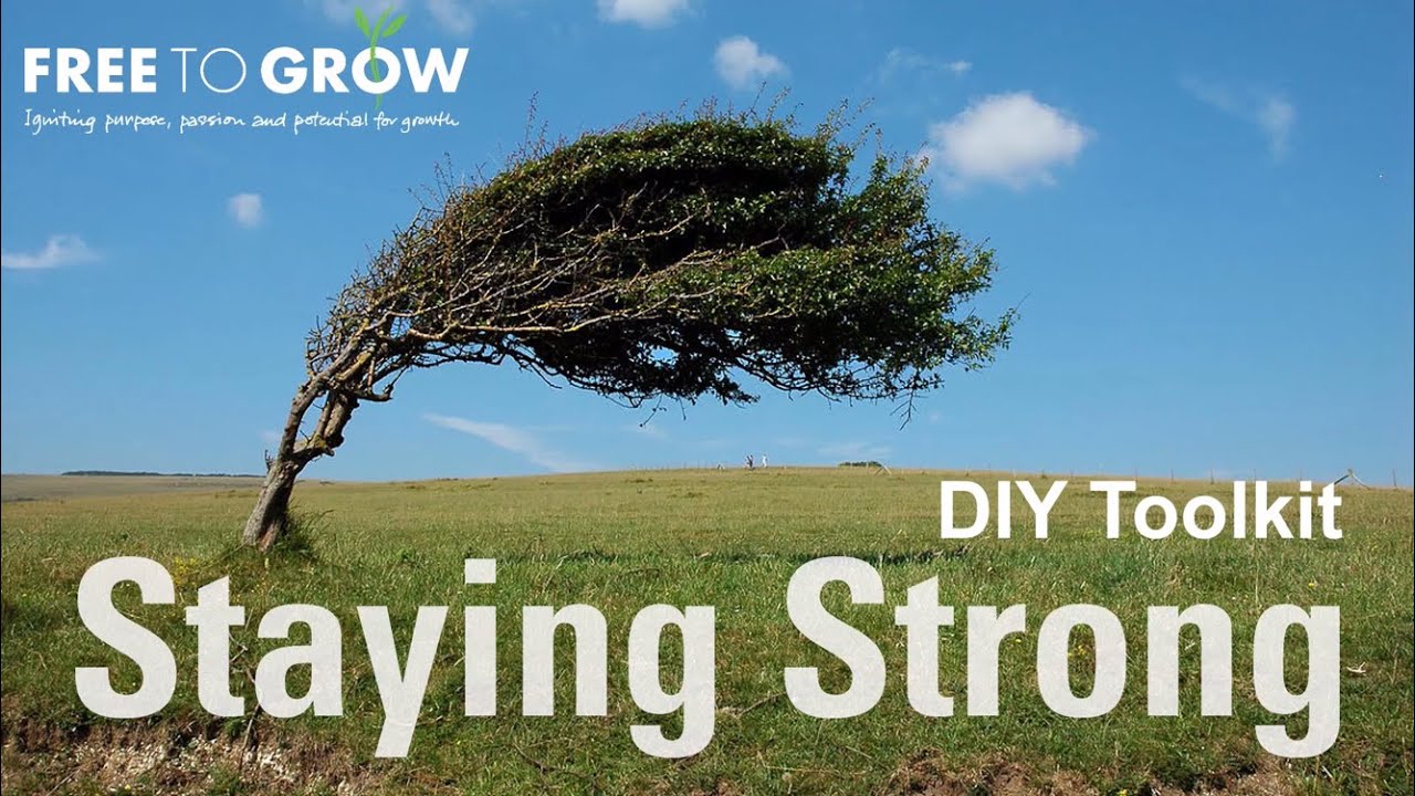 Staying Strong DIY Toolkit