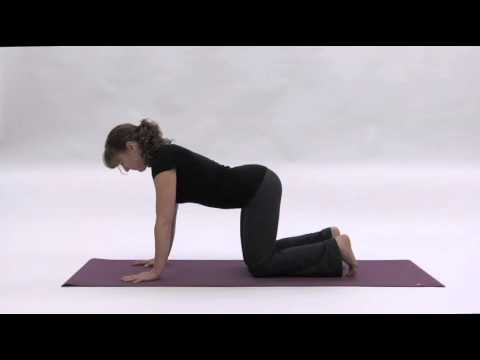 Yoga Poses for a Better Back: Downward Facing Dog